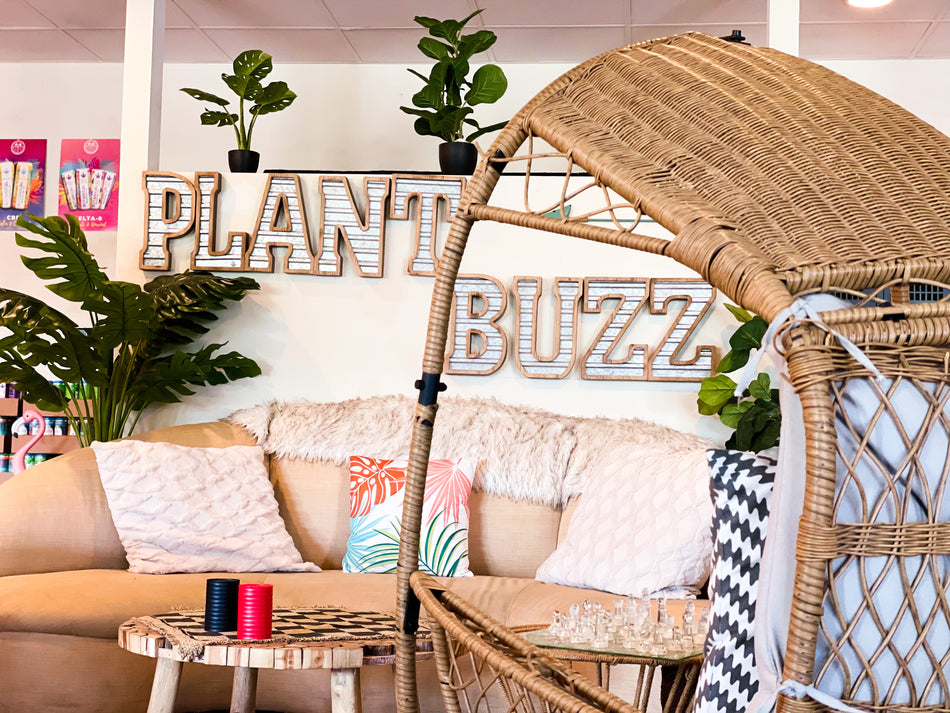 Best pub in Florida | Taproom | Botanical Brewing Co